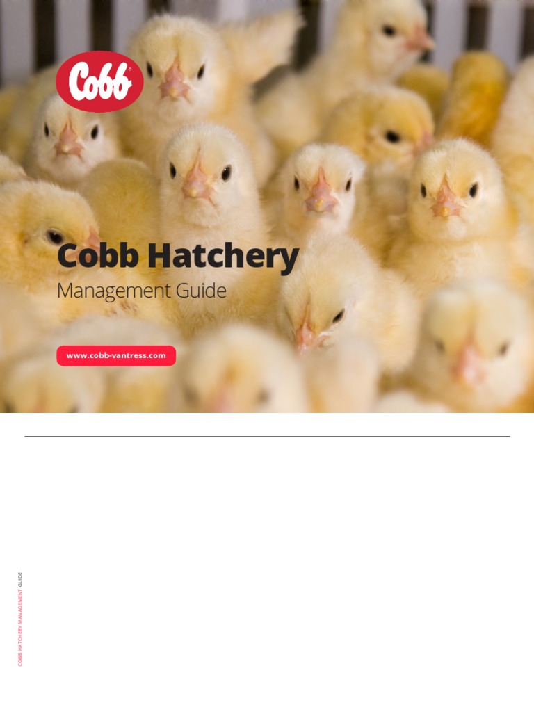 Hatchery Guide Layout R4 Min | PDF | Chicken | Egg