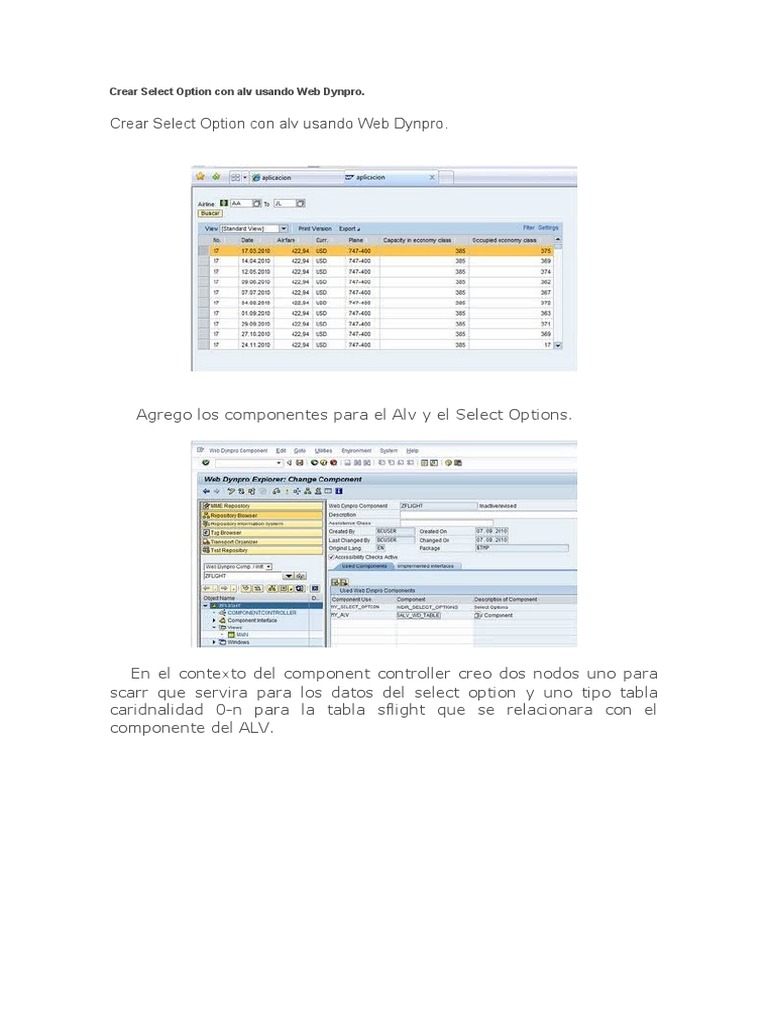 Crear Select Option Con Alv Usando Web Dynpro | PDF | Informática | Áreas de informática