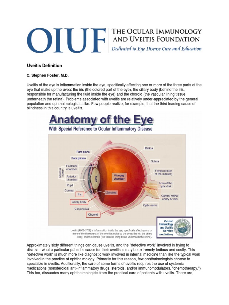 Uveitis Definition: C. Stephen Foster, M.D | PDF | Ophthalmology | Therapy