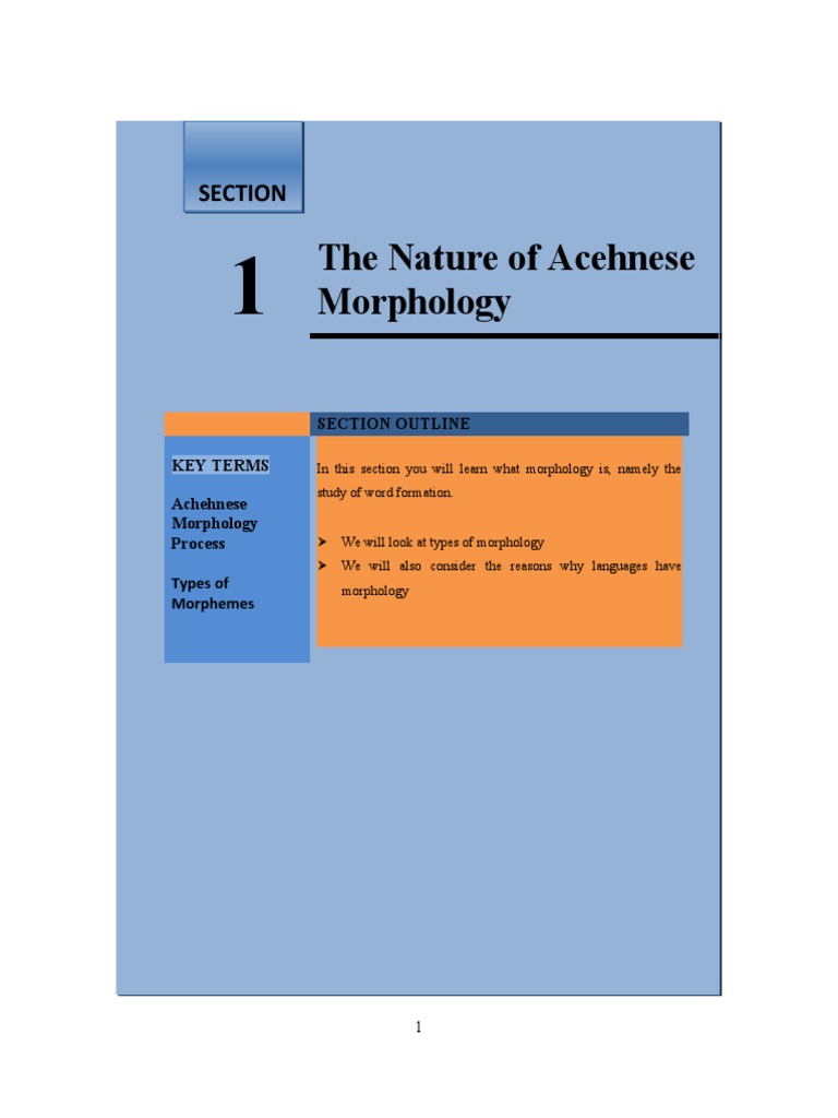 Achehness Morphology BOOK | PDF | Morphology (Linguistics) | Part Of Speech