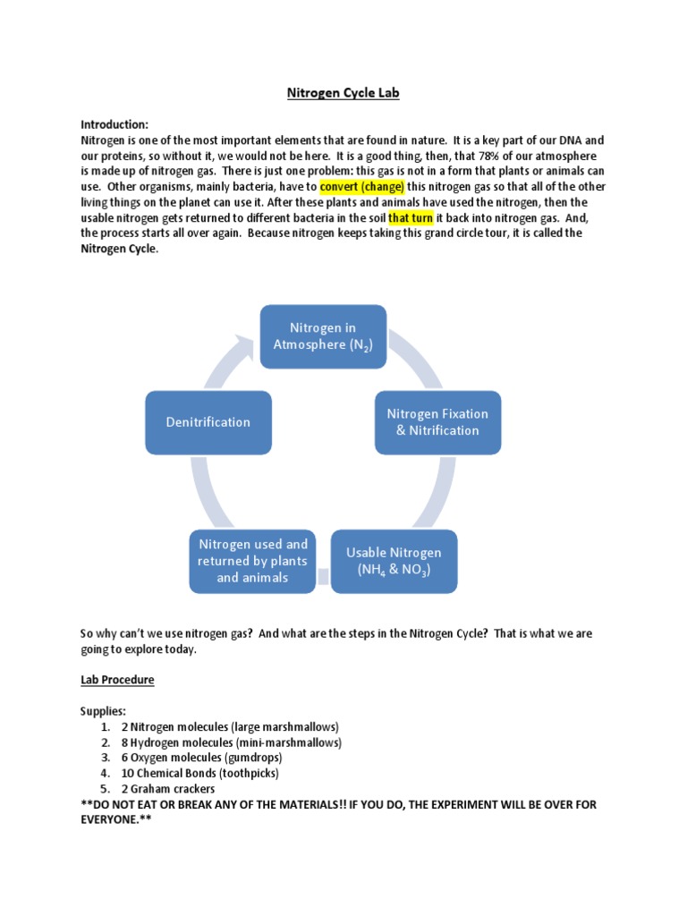 Nitrogen Cycle Lab: Nitrogen in Atmosphere (N) | PDF | Ammonium | Nitrogen
