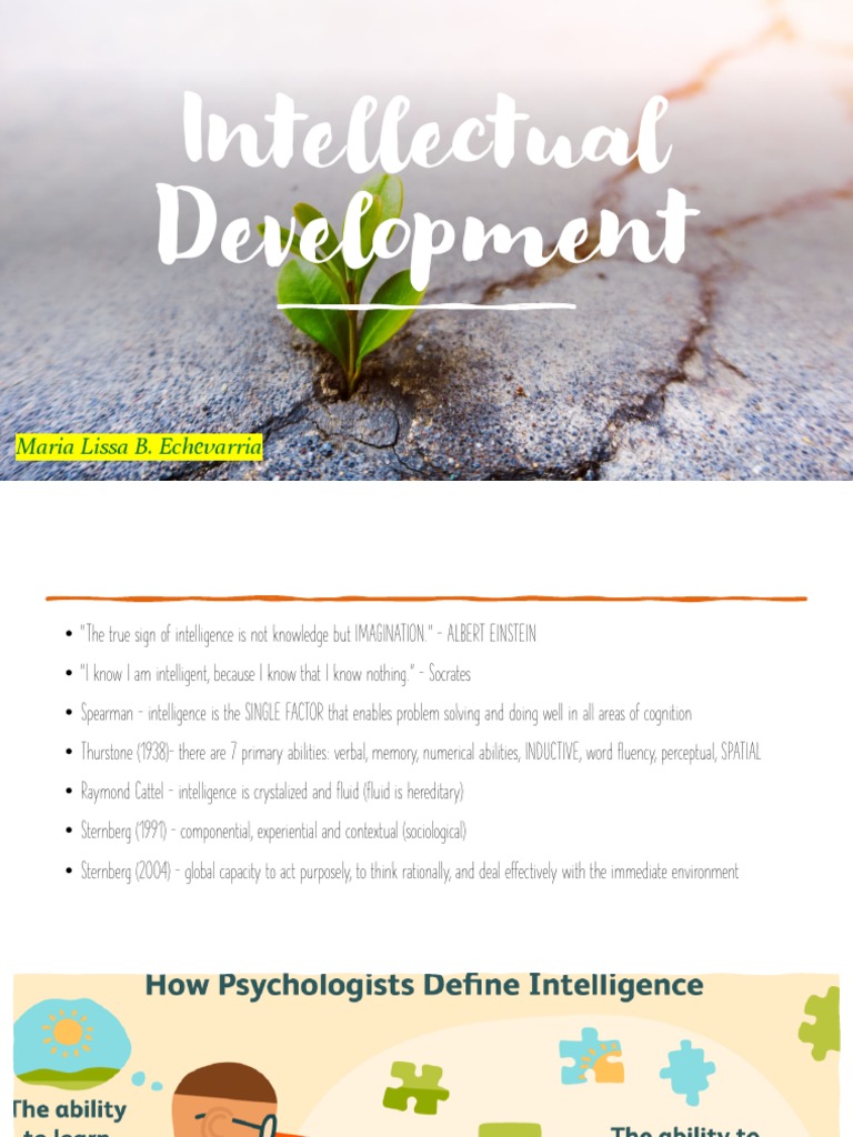 PDF-INTELLEPPT - Development Multiple Intelligence Learning Styles (UTS) | PDF