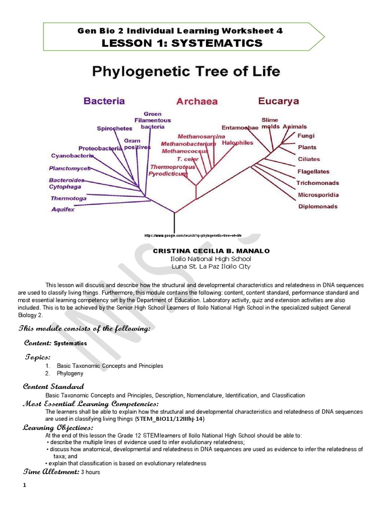Lesson 1: Systematics: Gen Bio 2 Individual Learning Worksheet 4 | PDF ...