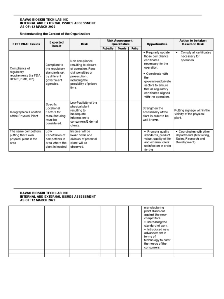 Internal and External Issues Worksheet Sample | PDF | Regulatory ...