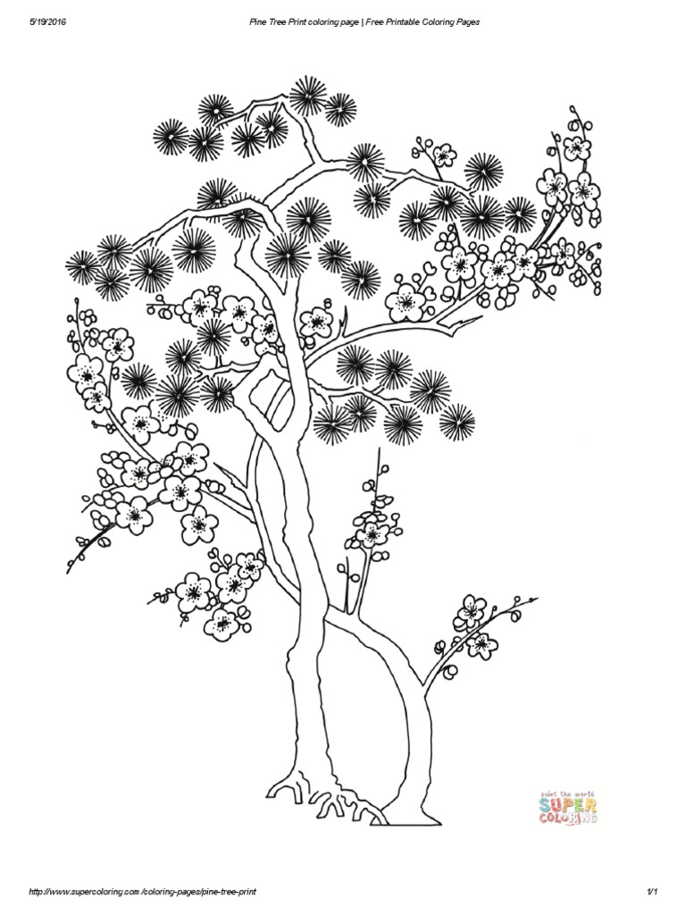 Pine Tree Print Coloring Page - Free Printable Coloring Pages | PDF ...