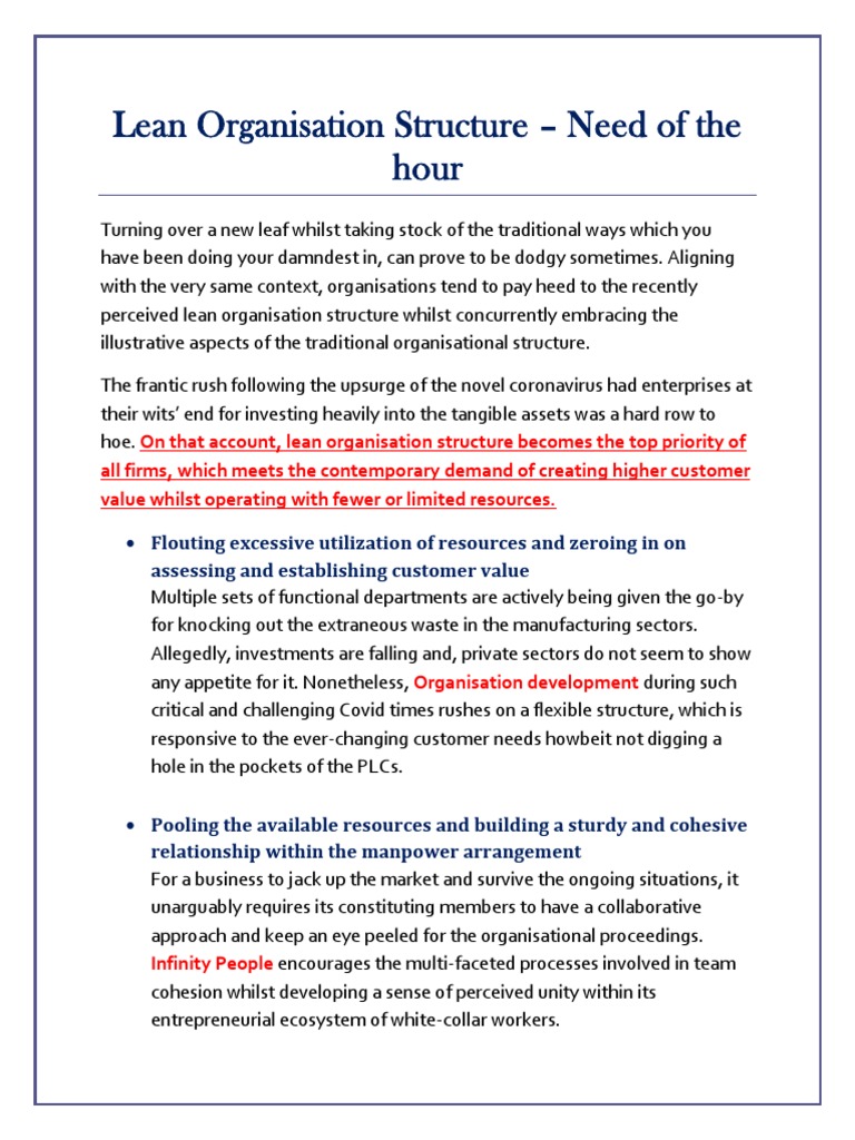 Lean Organisation Structure - Organisation Development - Infinity ...