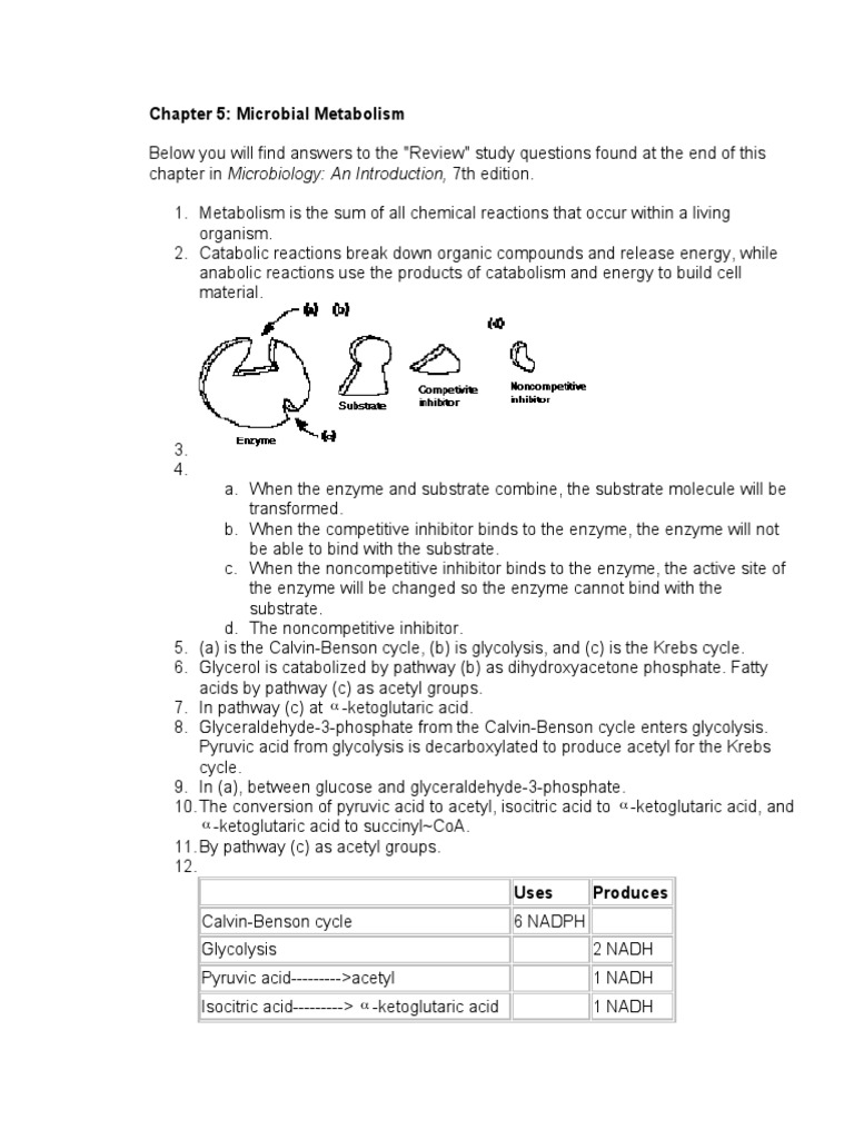 Chapter 5: Microbial Metabolism | PDF | Glycolysis | Metabolic Pathway