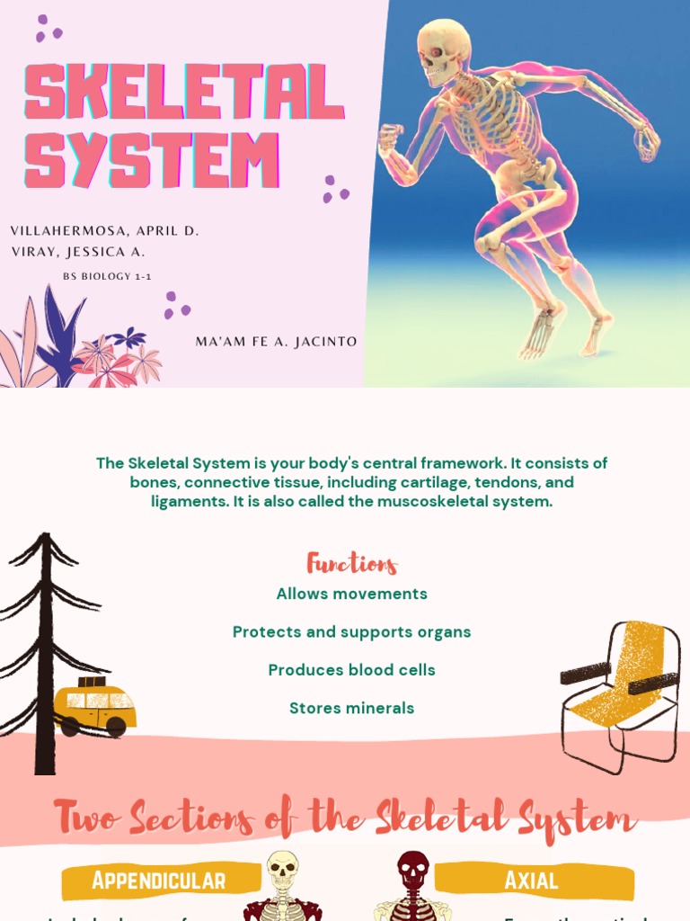 Skeletal System Final Pdf Bone Skeleton