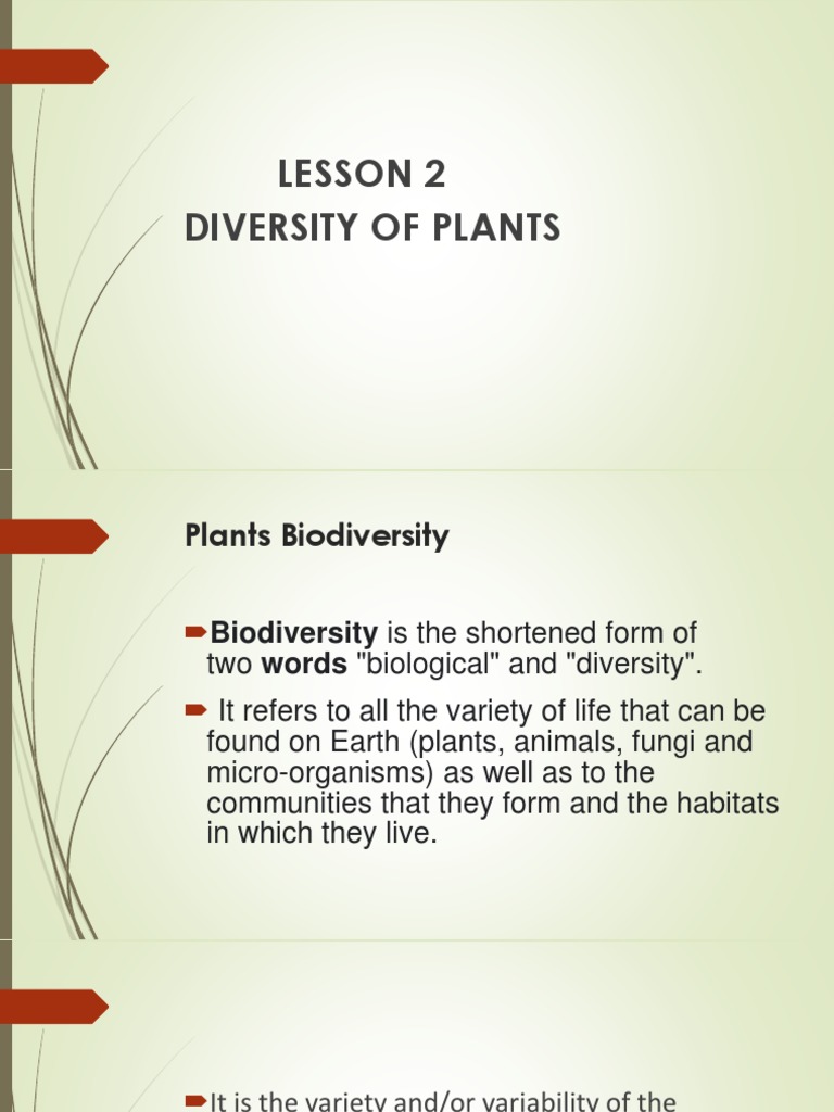 Lesson 2 Diversity of Plants | PDF | Plants | Biodiversity