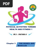 Human Muscles KS2 Labelling Activity | PDF | Philosophy | Wellness