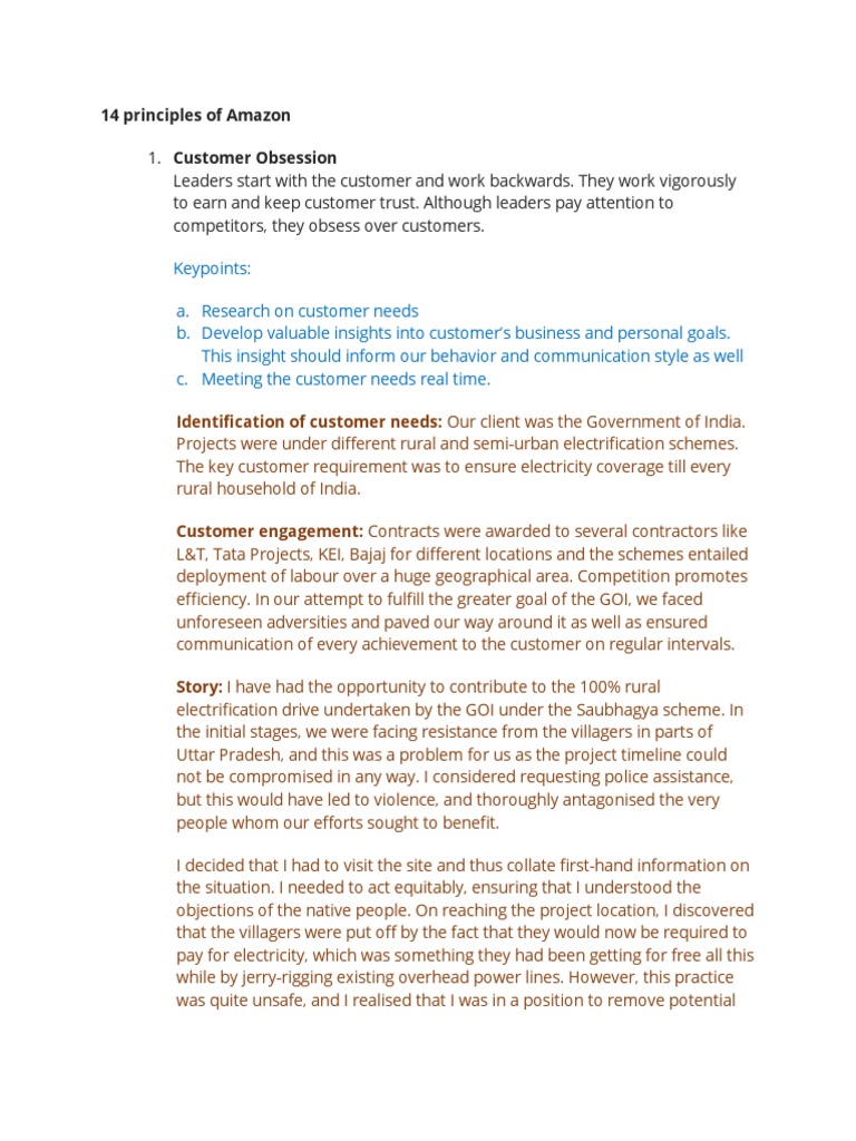 14 Principles of Amazon | PDF | Economies | Business