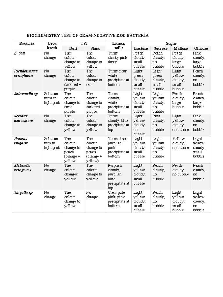 Gram-Negative Bacteria Tests | PDF | Bacteria | Microbiology
