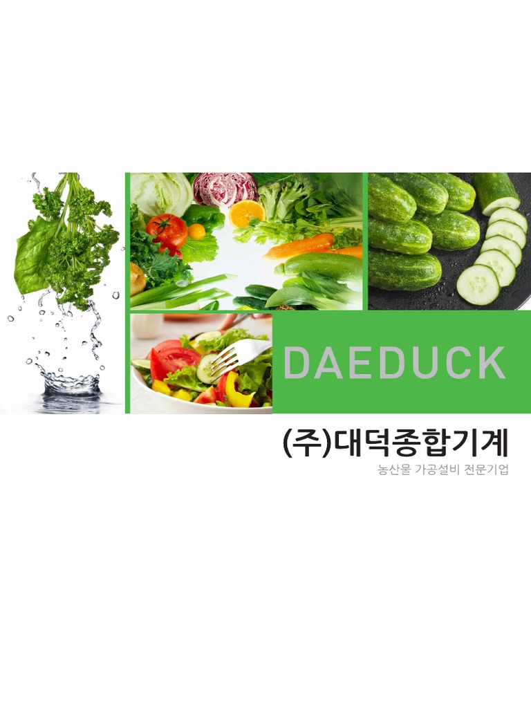 Daeduck Catalogue 2017 PDF | PDF