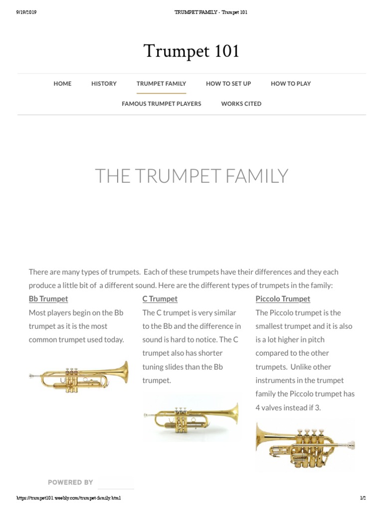 TRUMPET FAMILY - Trumpet 101 | PDF | Trumpet | Music Production