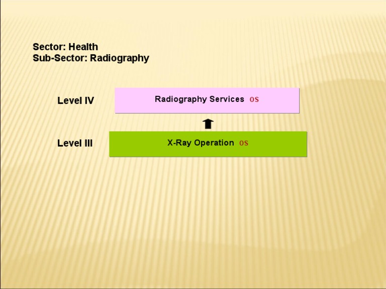 OM Radiography | PDF