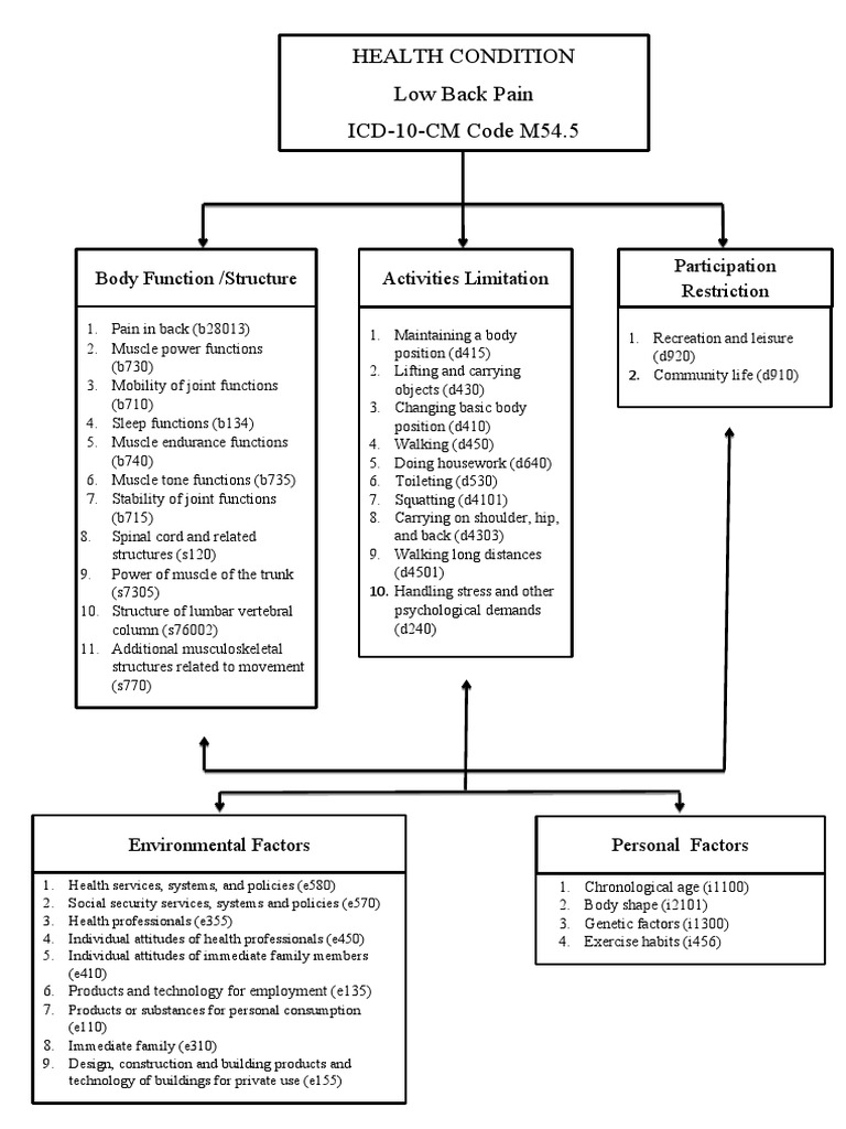 Diagram Icf Model LBP | PDF | Low Back Pain | Musculoskeletal System