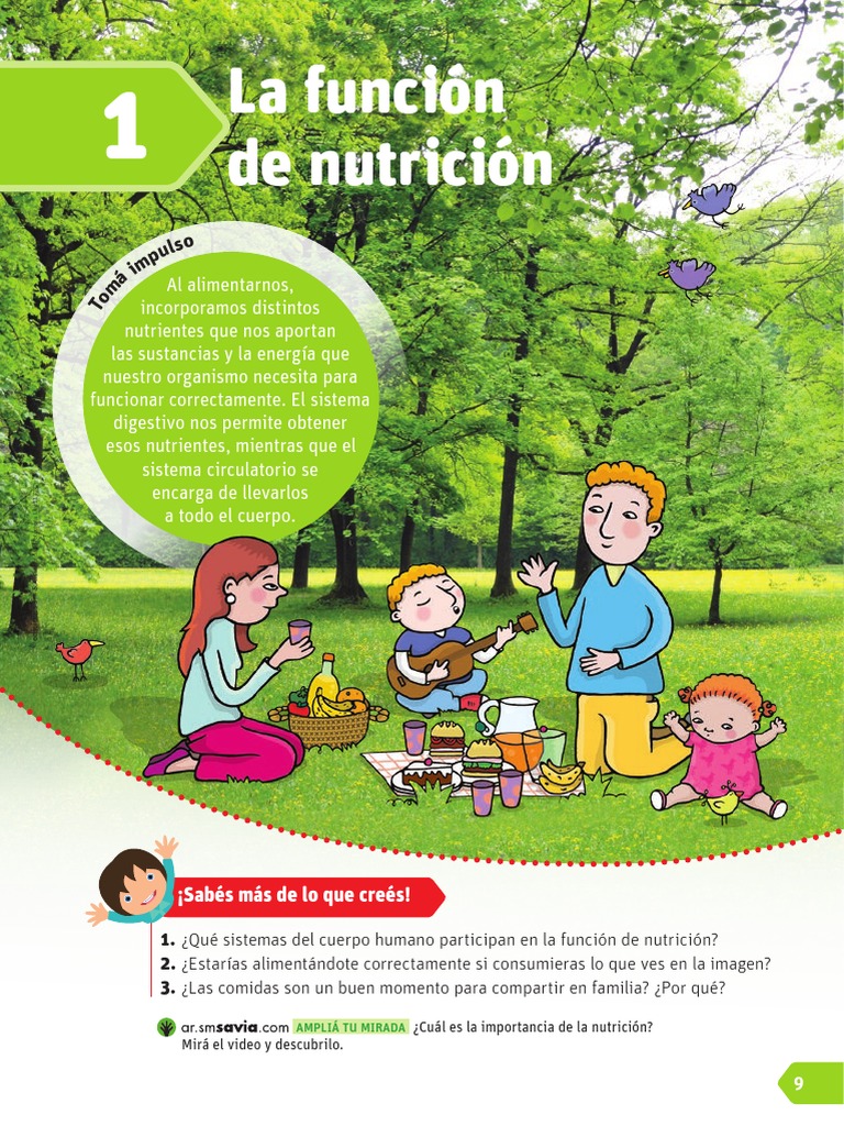 La Funcion de La Nutricion | PDF | Digestión | Vena