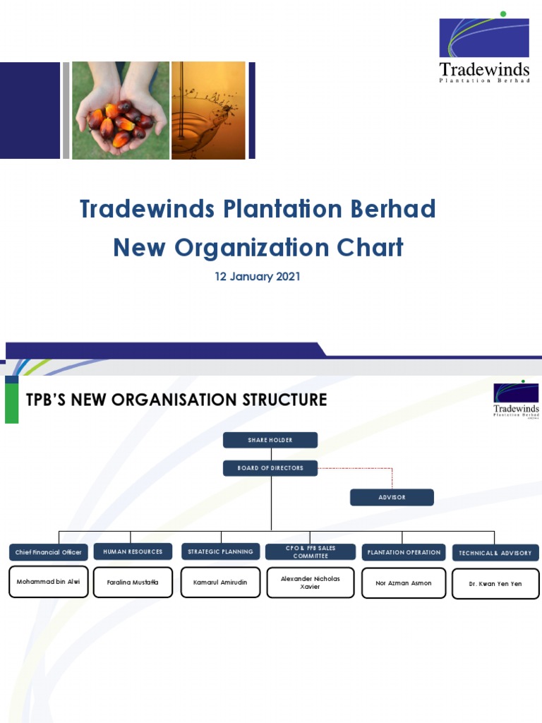 Tradewinds Plantation Berhad Announces New Organizational Structure ...