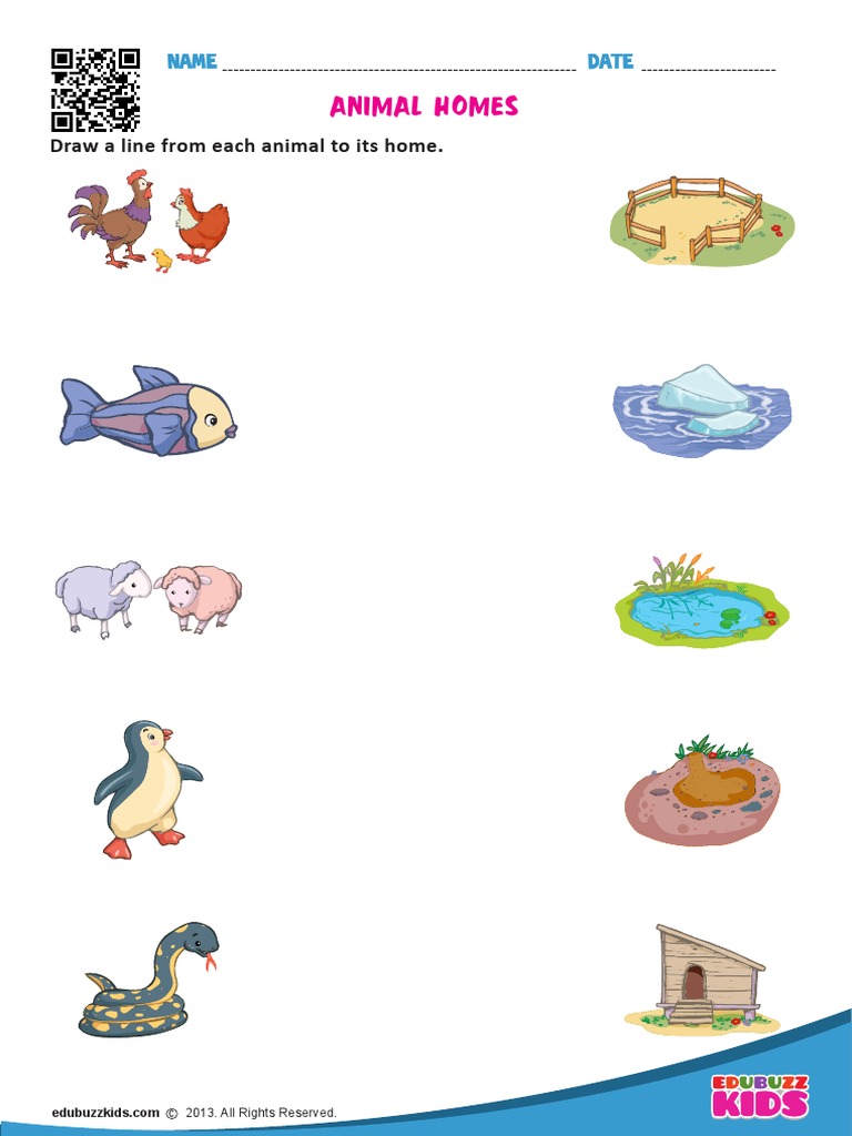 1 Animal-Homes PDF | PDF