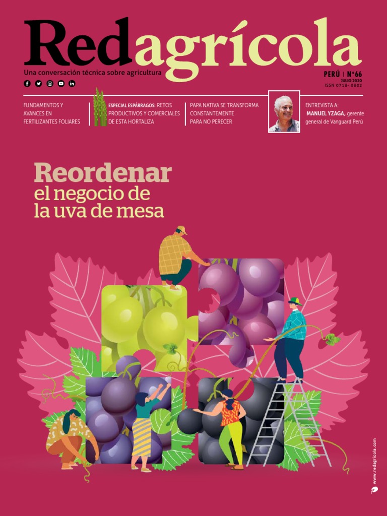 Red Agricola Julio 2020-66 - Datos Veridicos de Campaña 2019 2020 PDF ...