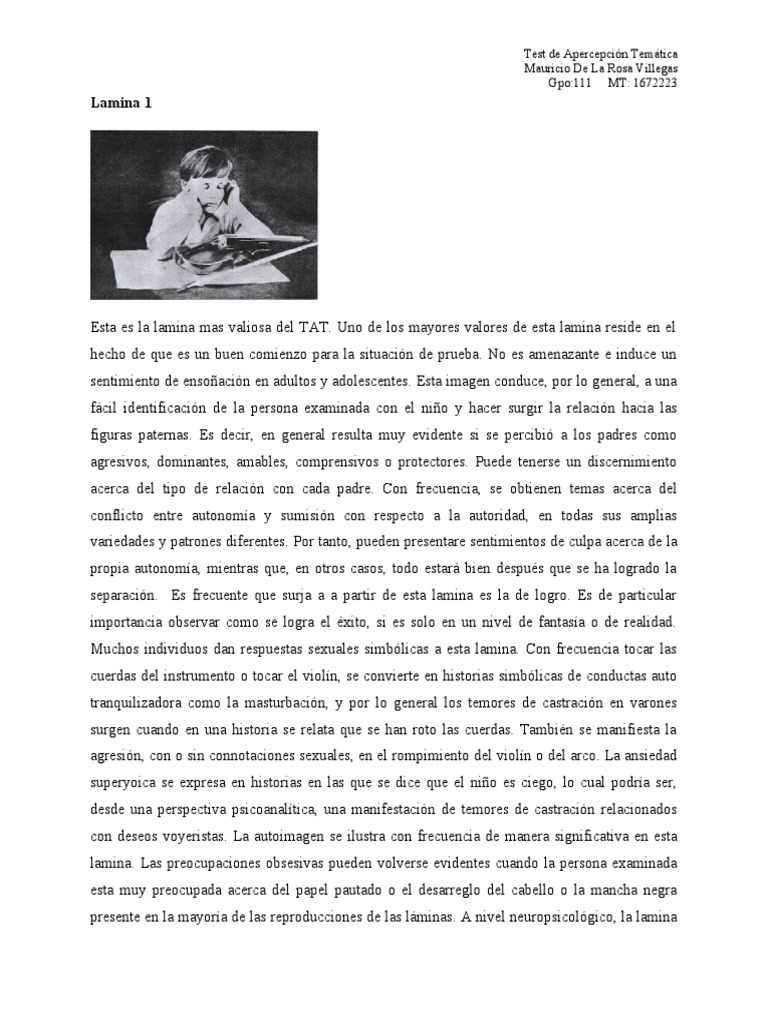 TAT y CAT Significados | PDF | Homosexualidad | Hombre