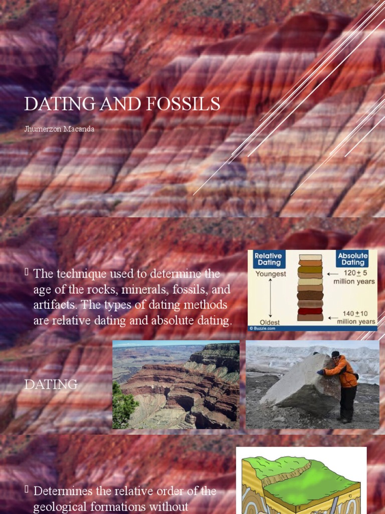 Dating and Fossils | PDF | Stratigraphy | Sedimentary Rock