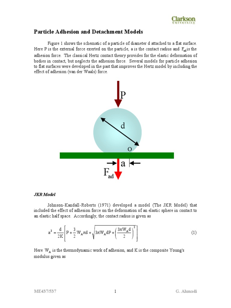 Particle Adhesion and Detachment Models | PDF | Adhesion | Force