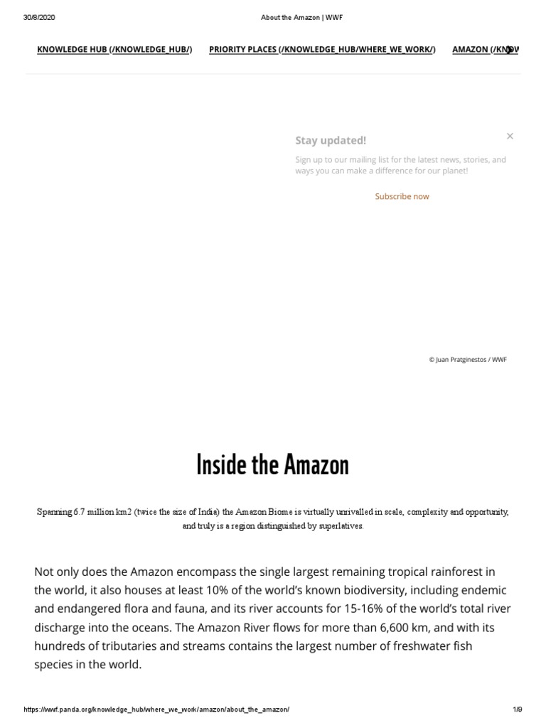 About The Amazon - WWF PDF | PDF | Amazon Rainforest | Biogeography