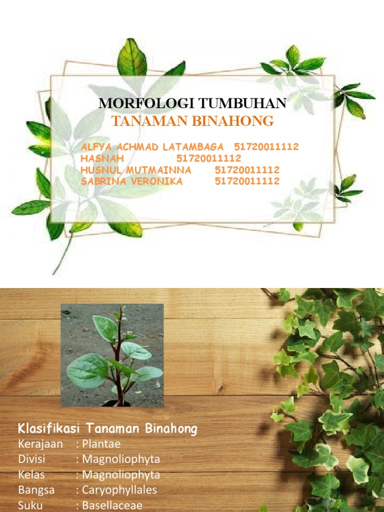 Morfologi Tumbuhan | PDF