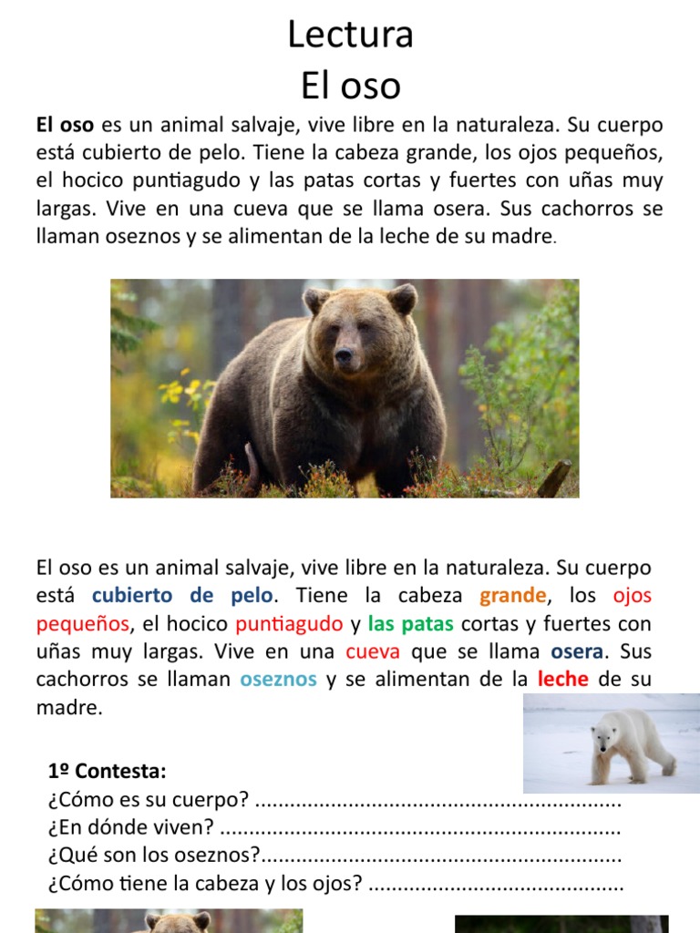 Lectura EL OSOS | PDF