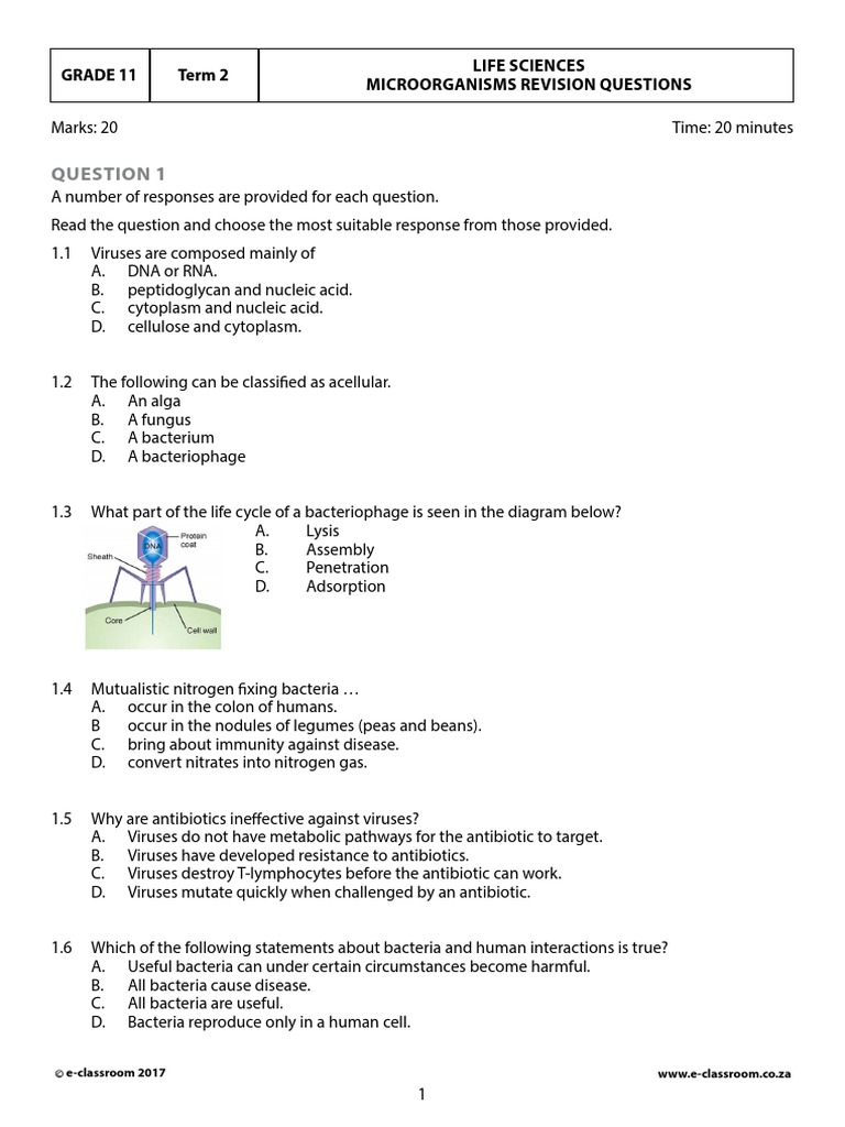 Grade 11 - Life Science - Revision Questions - Micro-Organisms | PDF ...