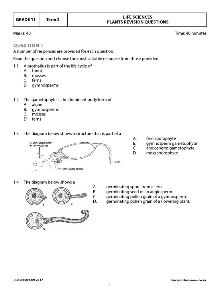 Grade 11 - Life Science - Revision Questions - Plants | PDF | Flowers ...