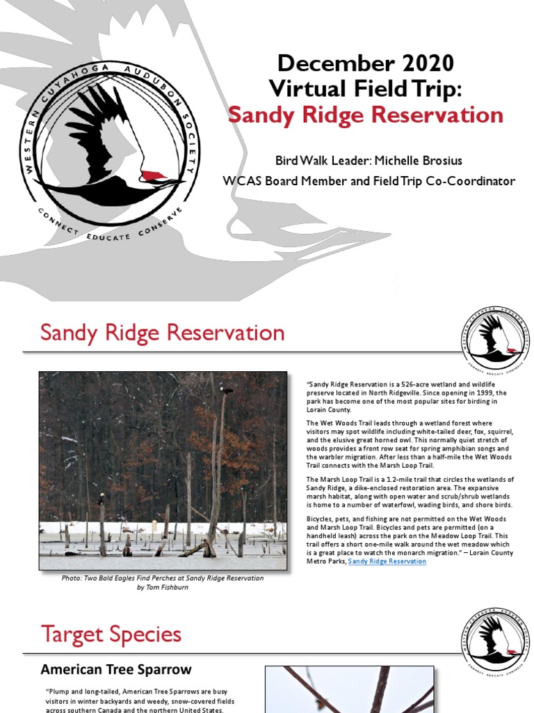 Virtual Field Trip Report To Sandy Ridge Reservation December 2020 ...