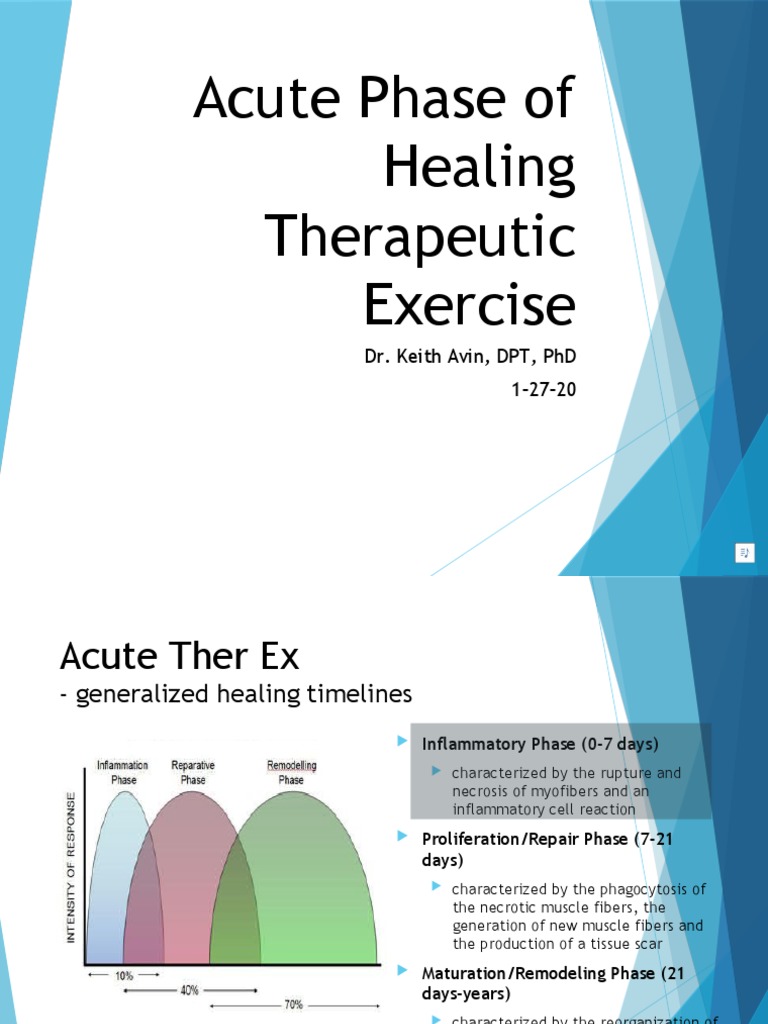 Acute Phase Healing & Therapeutic Exercise | PDF | Macrophage | Tendon