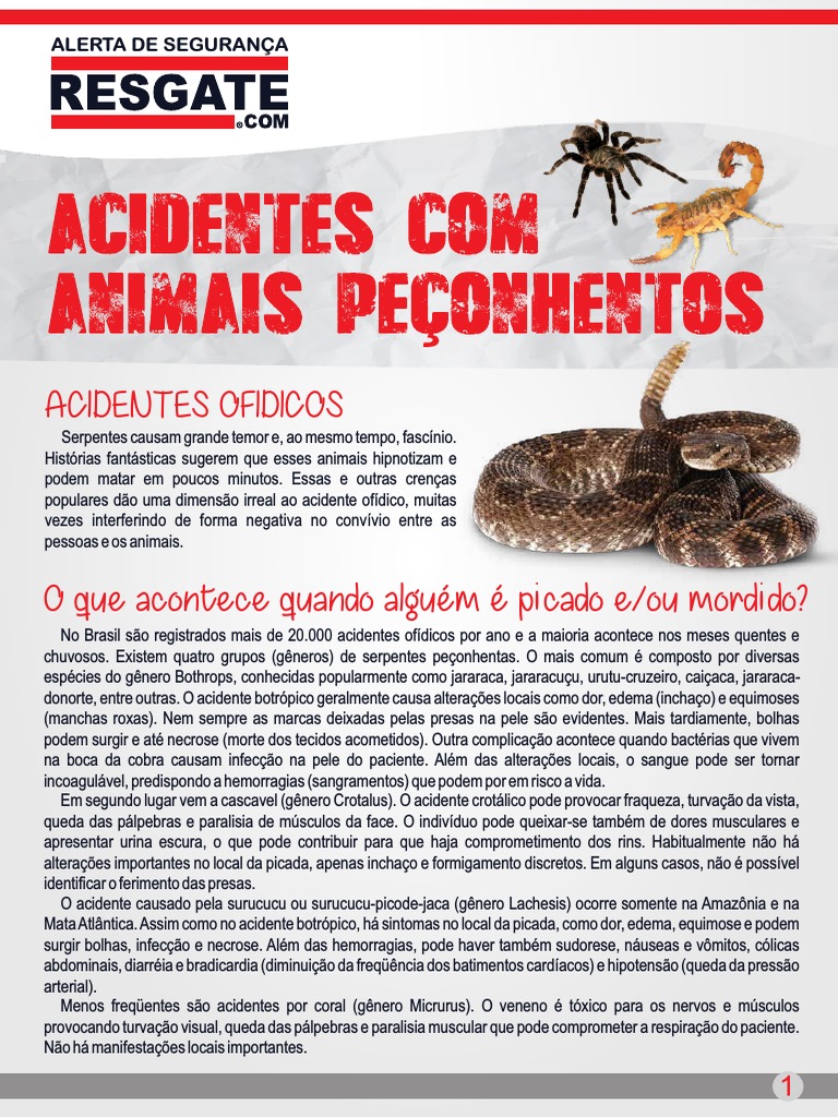 Alerta de Segurança - Animais Peçonhnetos | PDF | Doenças e distúrbios ...