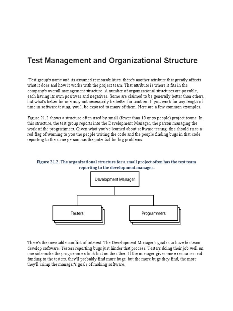 Test Management and Organizational Structure - 3nov | PDF | Software ...