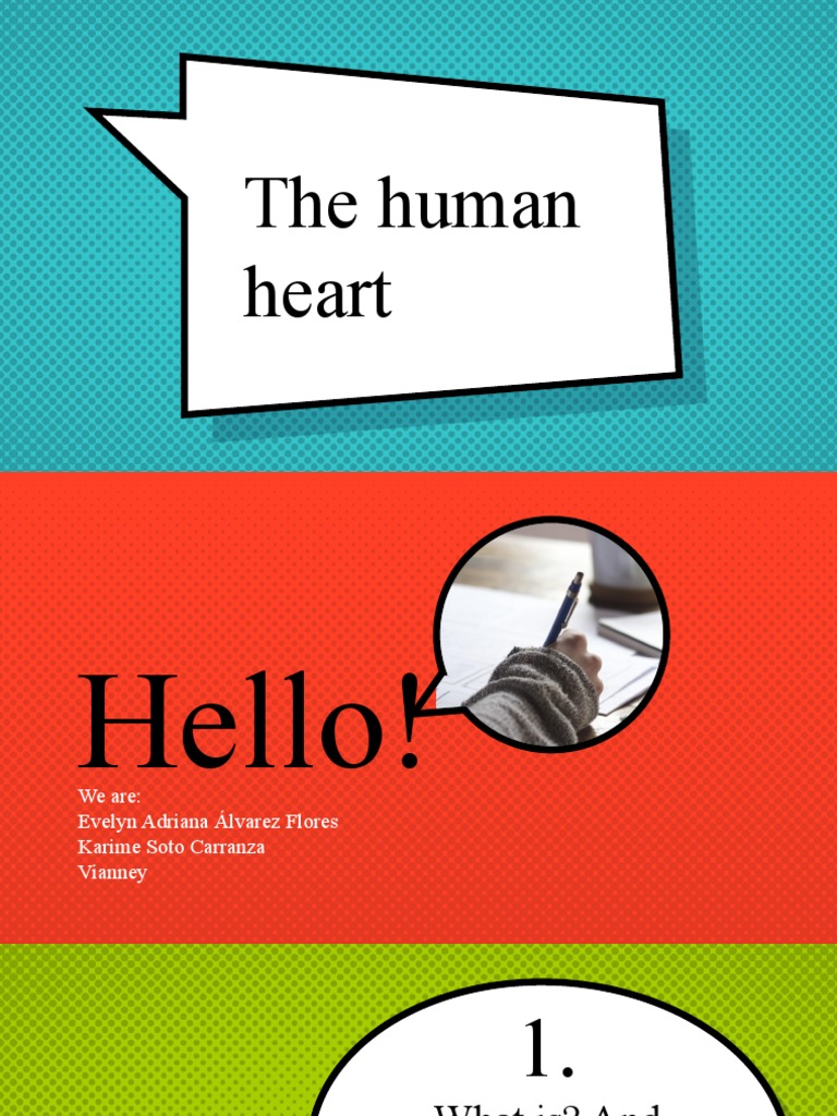 The Human Heart | PDF | Blood Vessel | Heart