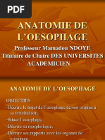 Anatomie de la Loge Rénale et Pédicule | PDF | Péritoine | Rein