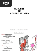 9 - Triangle de Scarpa | PDF | Jambe humaine | Anatomie