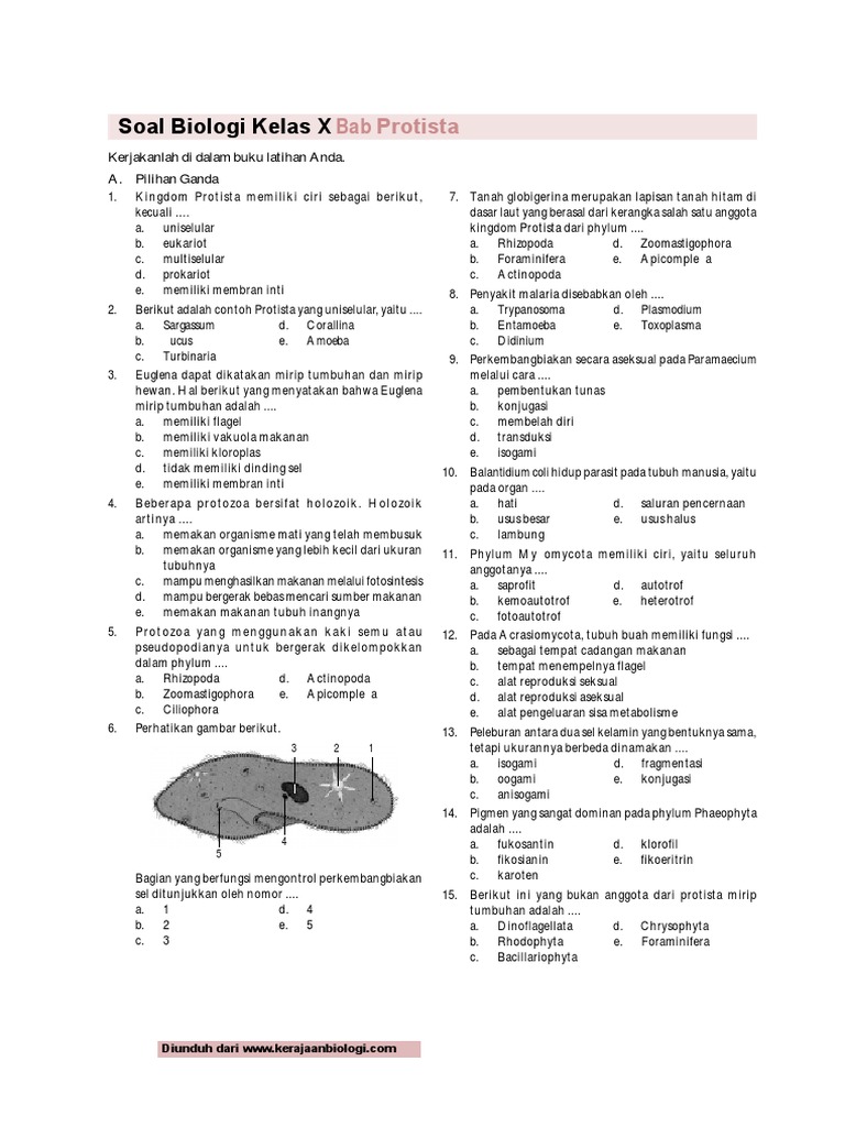 Soal Biologi Bab Protista | PDF | Sains & Matematika