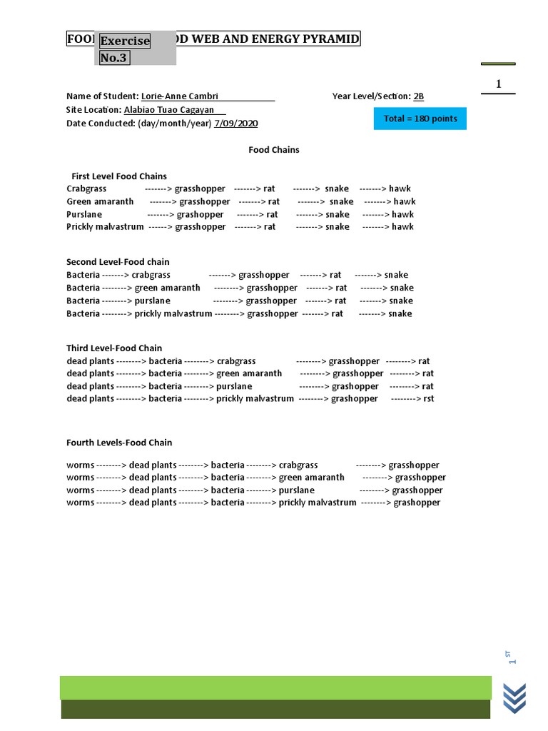 Food Chains, Food Web and Energy Pyramid Exercise No.3 | PDF | Food Web ...
