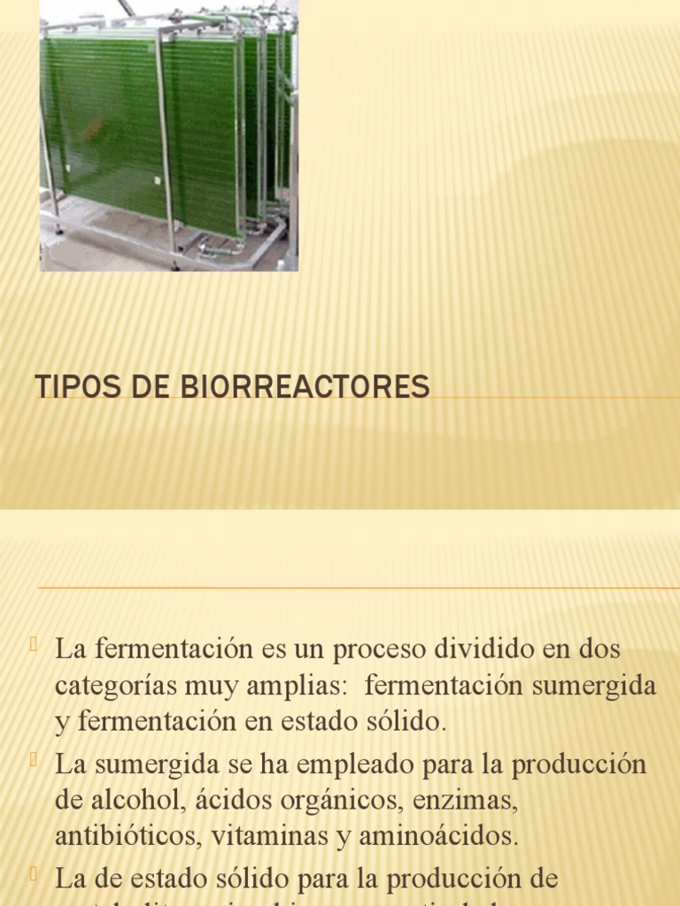 TIPOS DE BIORREACTORES