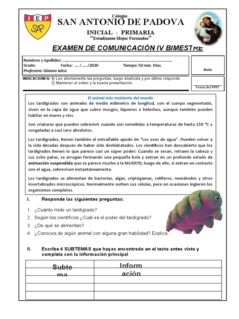 Examen de Comunicación 6to Grado | PDF | Taxa | Biología