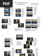 Upper Body Thera Band Exercise Program - Basic | PDF | Elbow | Arm