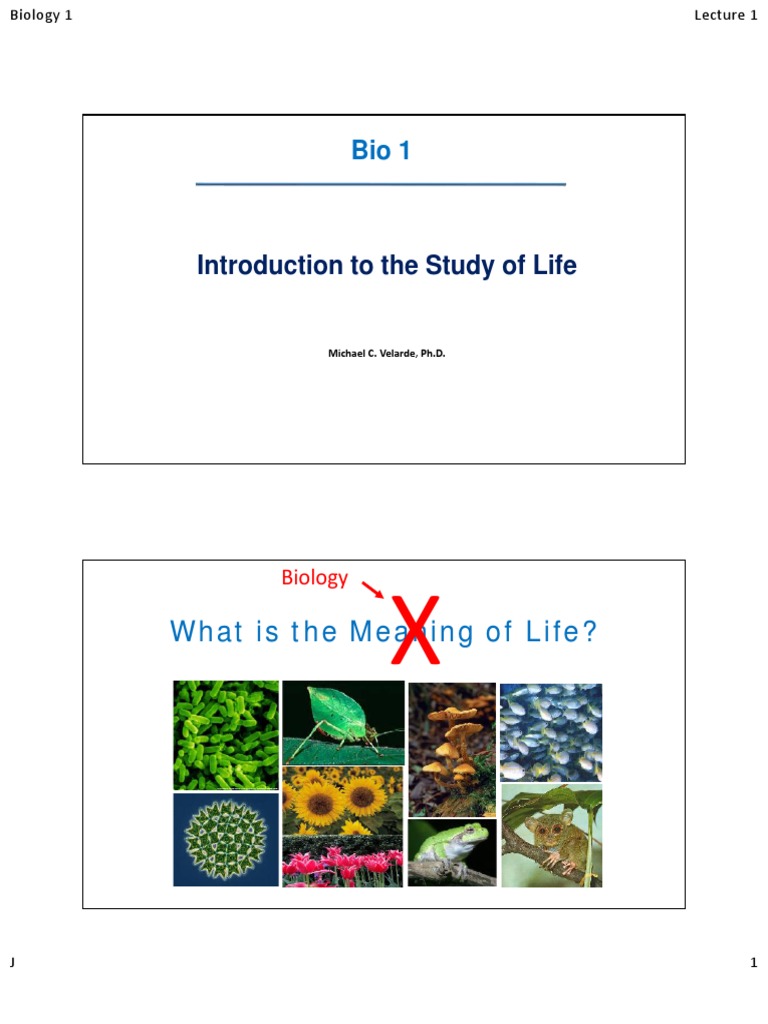 Lecture I-1 Concept of Life | PDF | Life | Biology