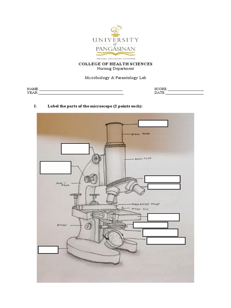 Micro Lab Unit Test 1 | PDF | Gram Positive Bacteria | Bacteria