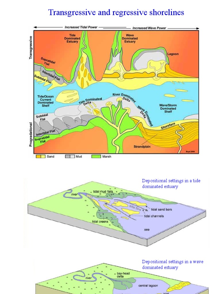 Estuaries vs Deltas: Key Differences | PDF | River Delta | Estuary