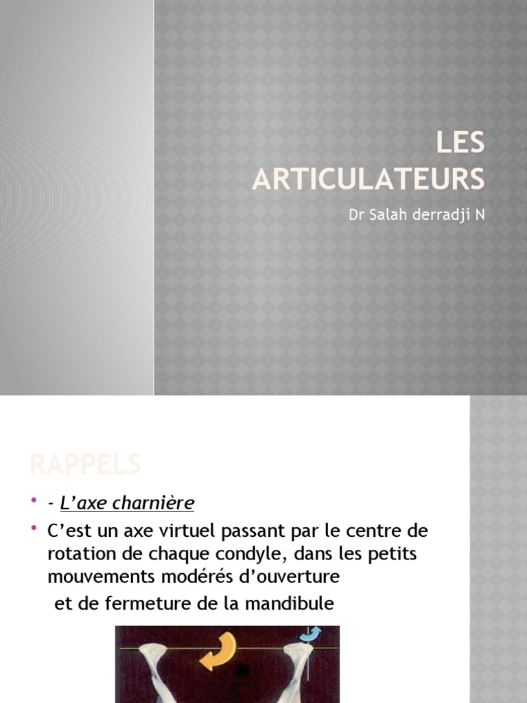 Les Articulateurs Dentaire: Guide Complet | PDF | Matériau composite ...