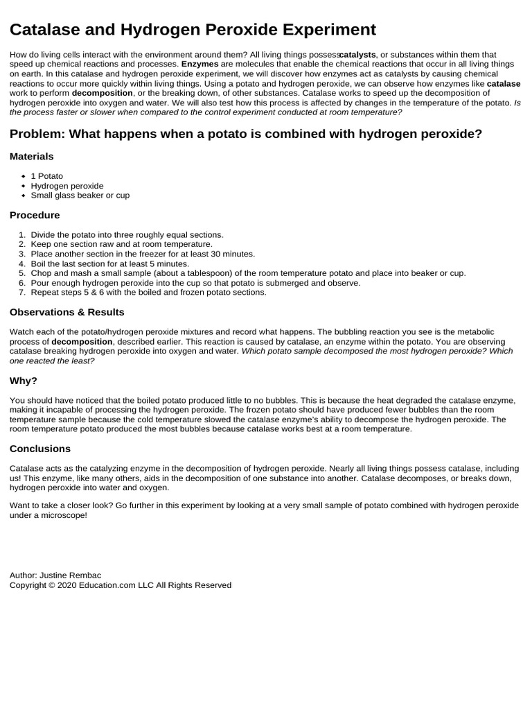 Catalase and Hydrogen Peroxide Experiment: Problem: What Happens When A ...