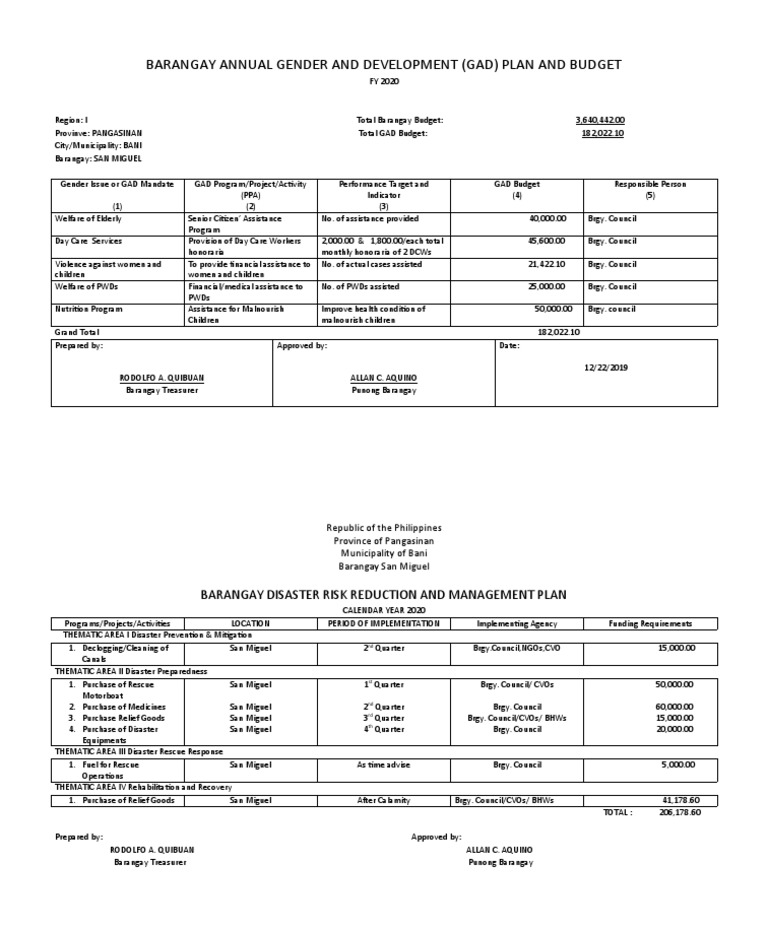 Barangay Annual Gender and Development (Gad) Plan and Budget | PDF ...